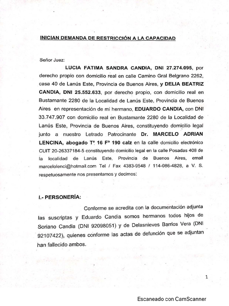 Demanda de Restriccion de La Capacidad | PDF