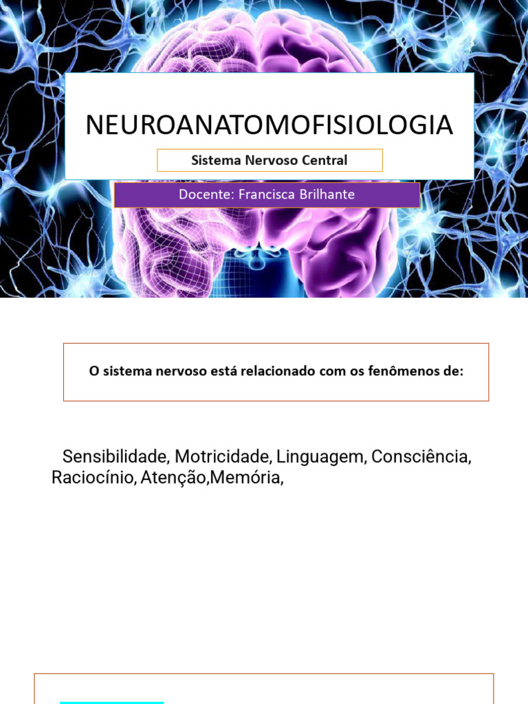NEURO_-_2_3 | PDF | Cérebro | Medula espinhal