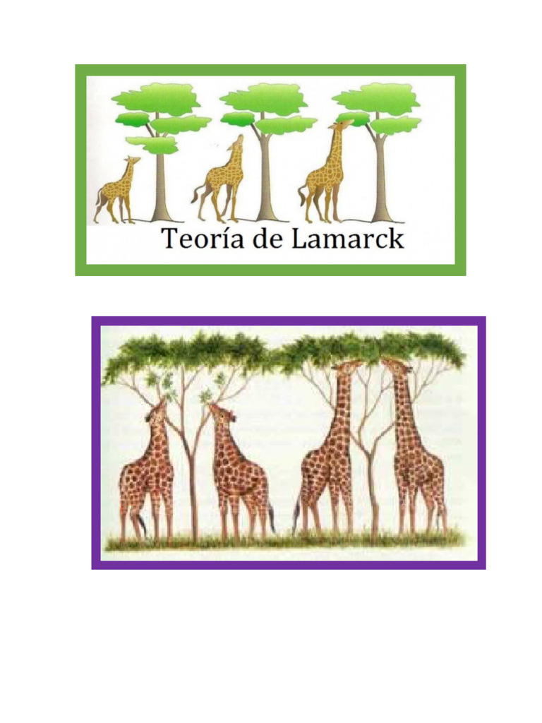 Doc1 Tarea de Biologia) | PDF