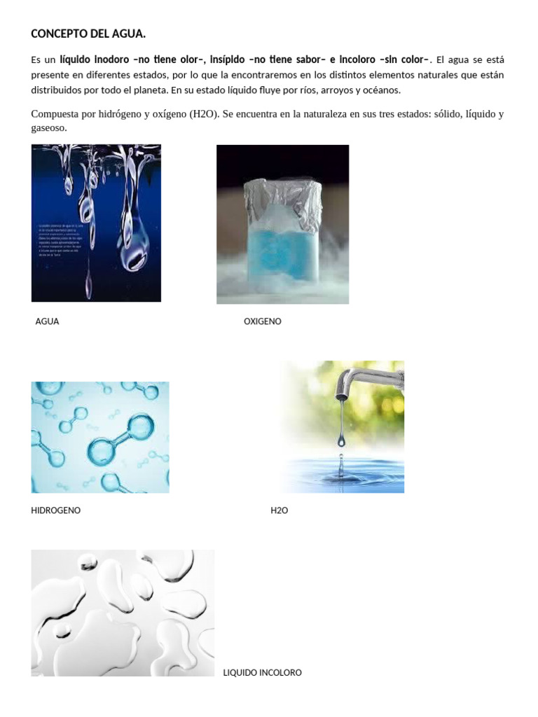 Concepto Del Agua | PDF | Agua | Propiedades del agua