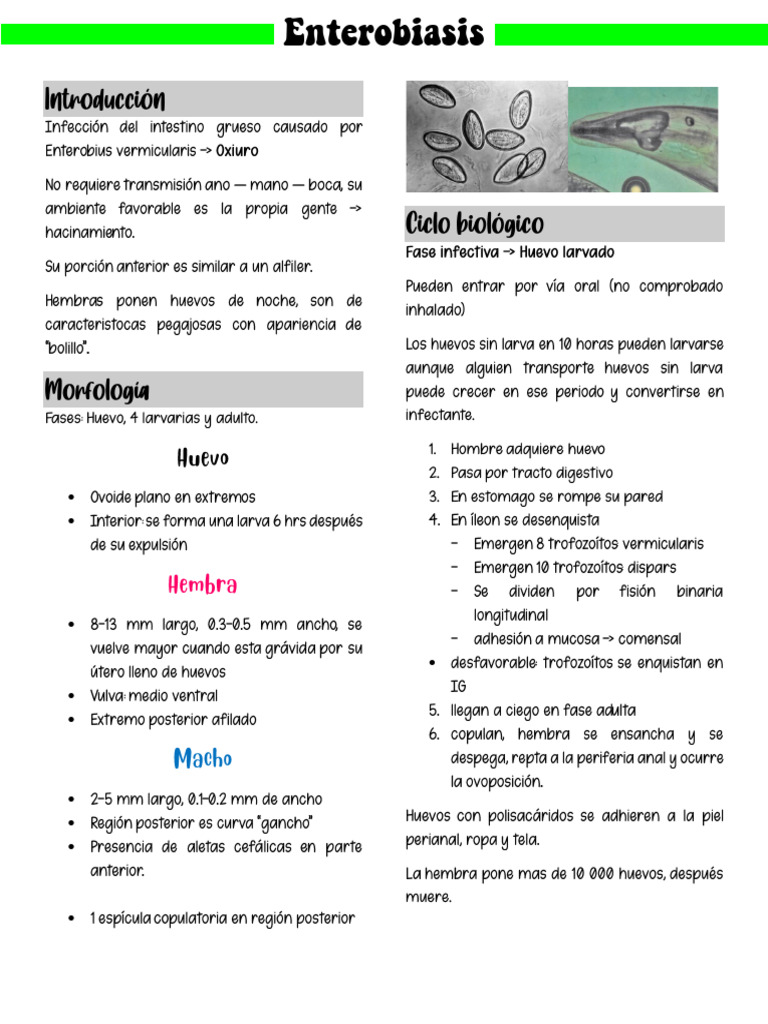 Enterobiasis | PDF