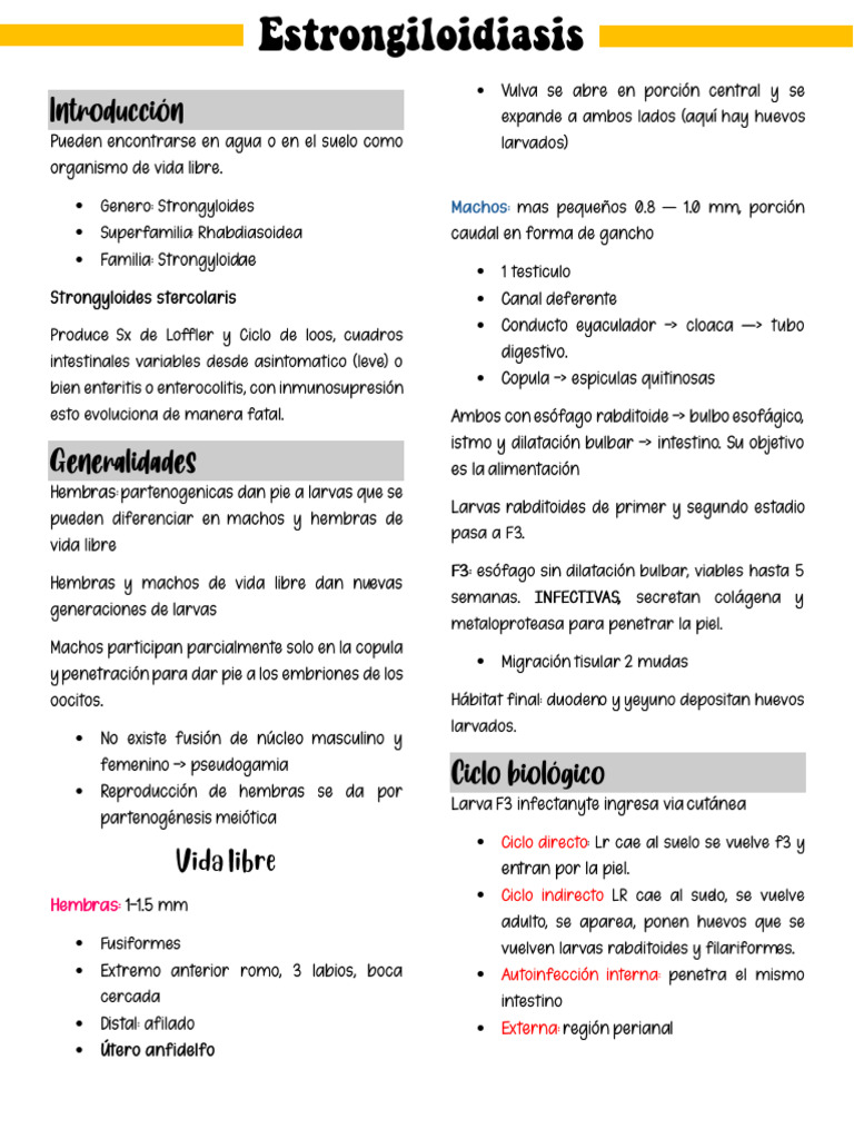 Estrongiloidiasis | PDF