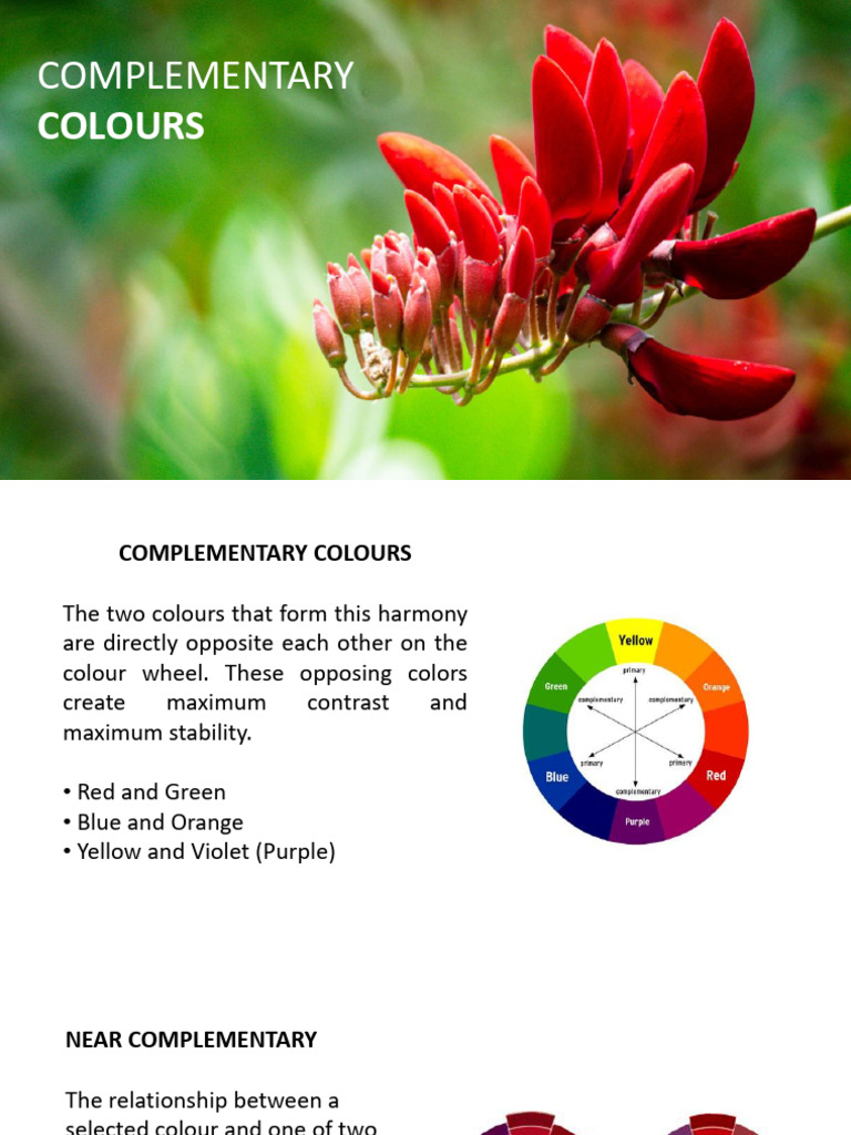 5 - Complementary Colours-15.03.22 | PDF