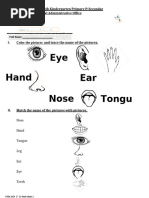KG3 General Science Worksheets | PDF | Organisms | Nature