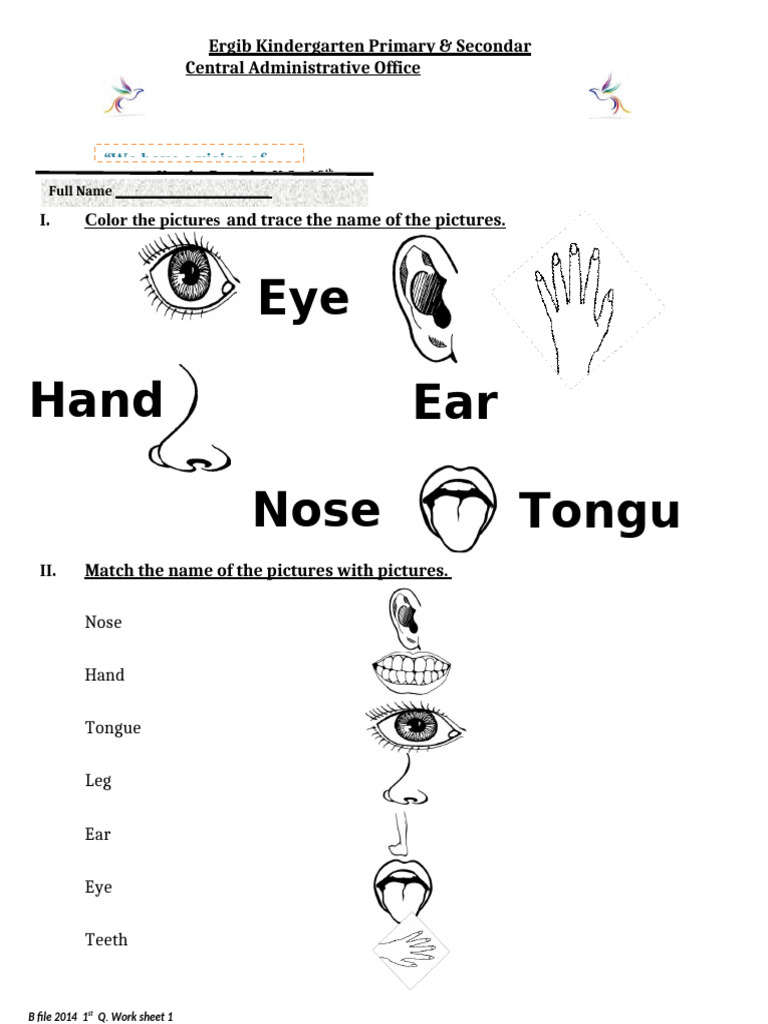 KG2 General Science Worksheets | PDF