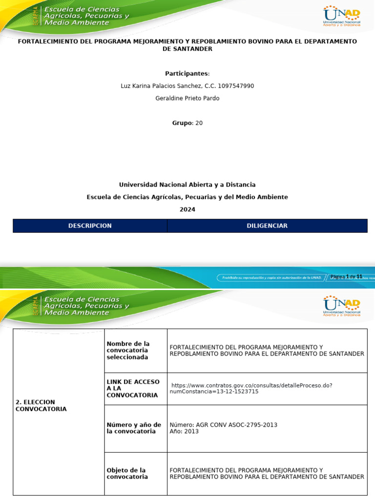 Anexo 2 - Identificación y Problemática | PDF