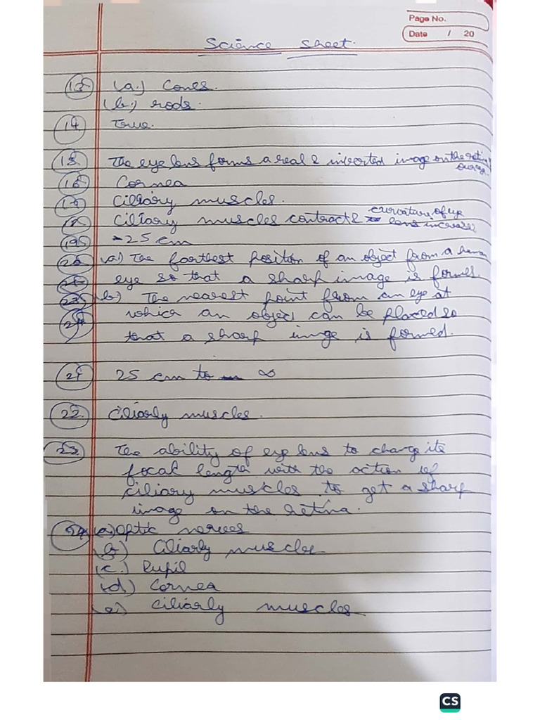 Physics Sheet | PDF
