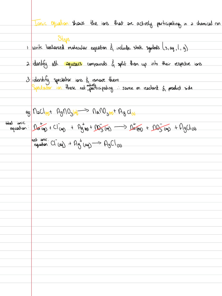 Ionic Equations | PDF