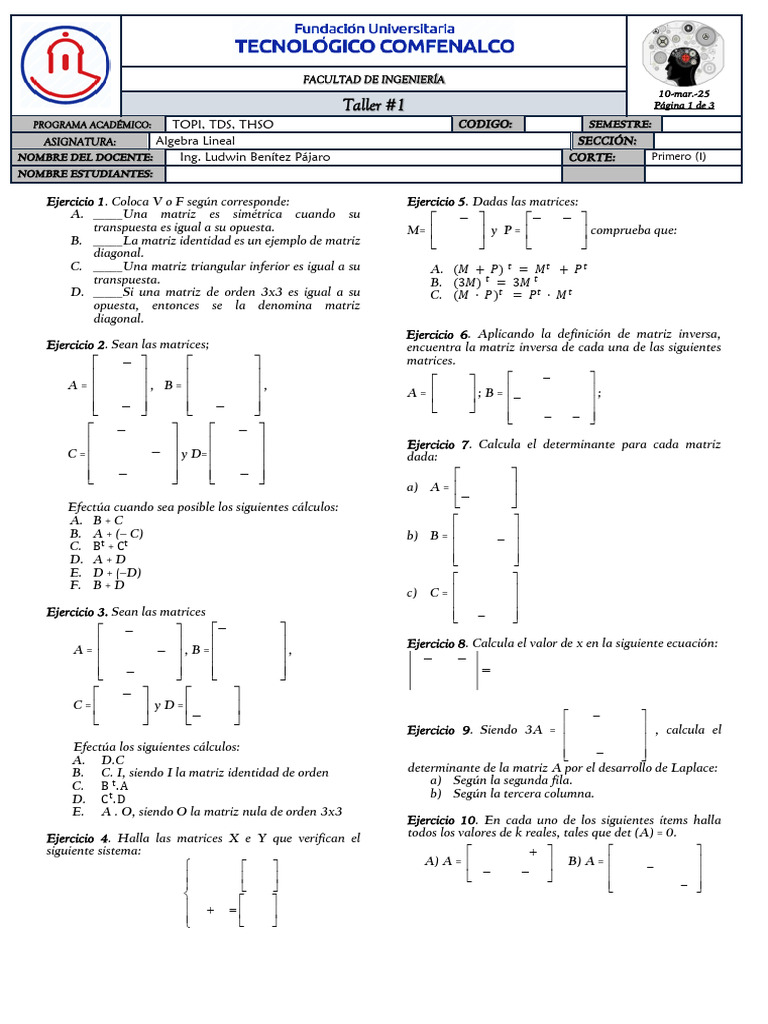 Taller CVV. _ 2025-I | PDF | Matriz (Matemáticas) | Determinante