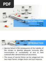 Biofel PCH Vaccine for Cats Overview | PDF | Vaccines | Injection ...