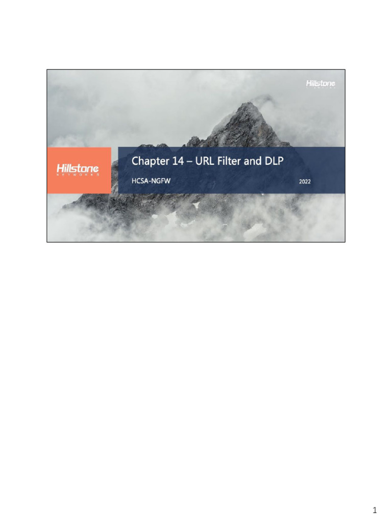 SSL Inspection and URL Filtering Guide | PDF | Transport Layer Security ...