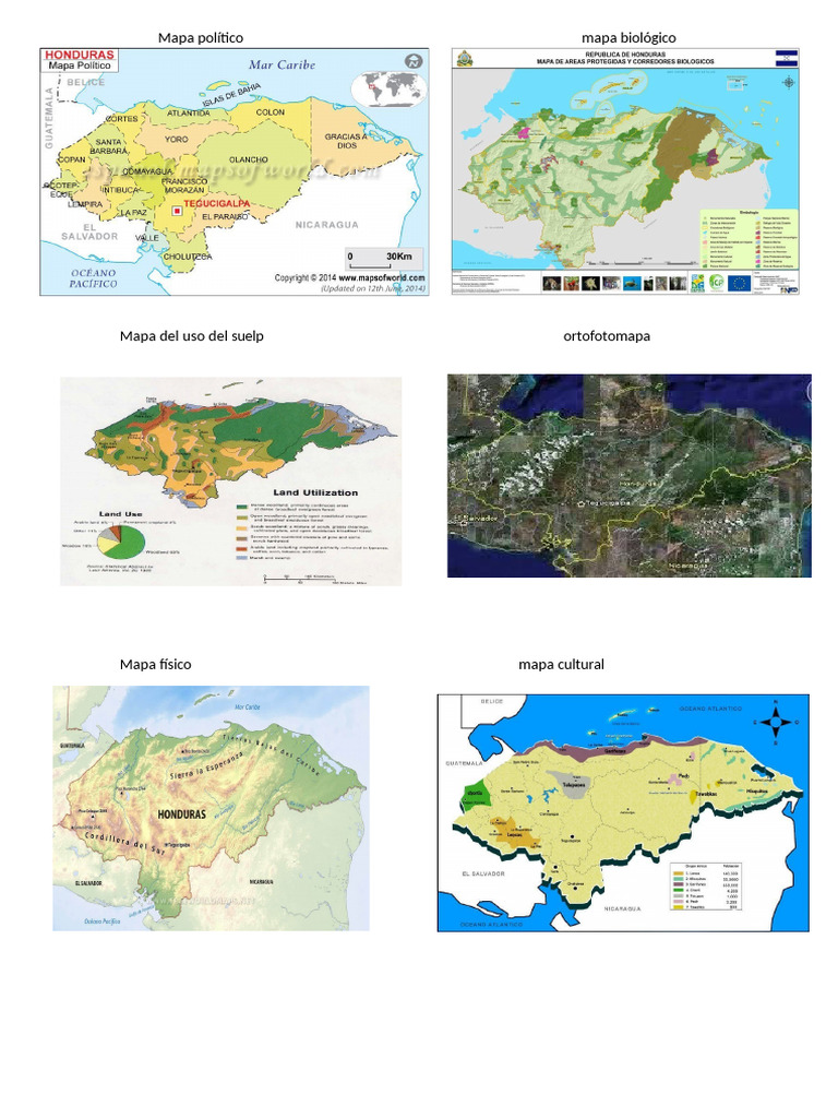 Tipos de Mapas: Político, Biológico y Más | PDF