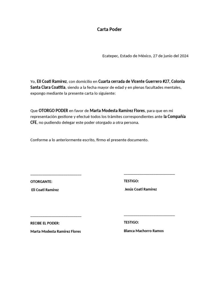 Carta Poder Editable | PDF