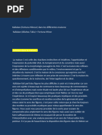 Les 16 Figures de la Géomancie Africaine | PDF | Dépression ...