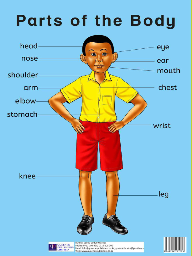 Parts of The Body Boy | PDF