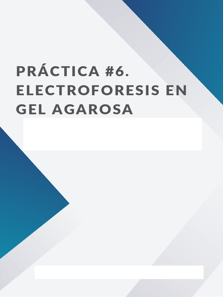 PRÁCTICA #6 | PDF | Electroforesis | Adn