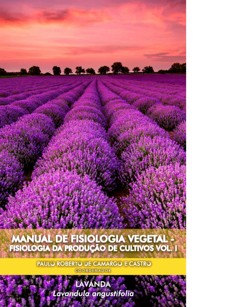 Manual de Fisiologia Vegetal - Fisiologia de Cultivos | PDF | Raiz ...