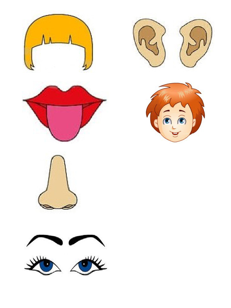Face parts memory game cards to print | PDF