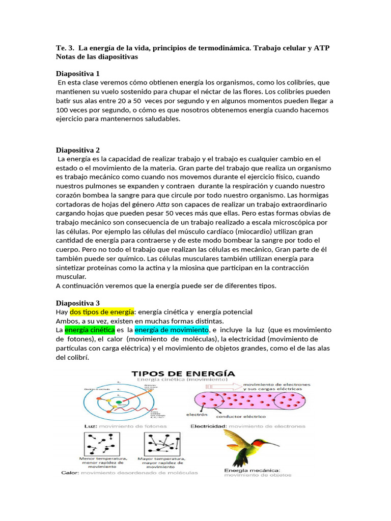 Te 3. La energía de la vida, principios de termodinámica. Trabajo celular y ATP . Notas de las ...