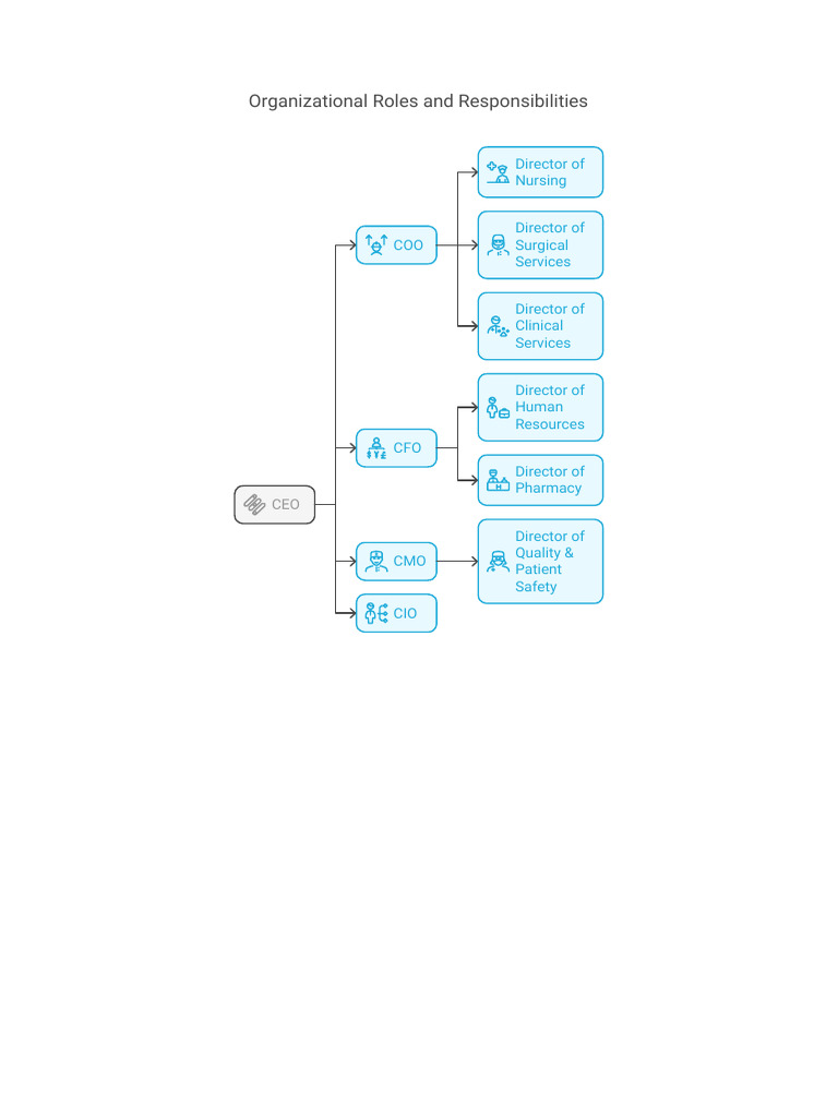 Hospital Leadership Structure Overview | PDF