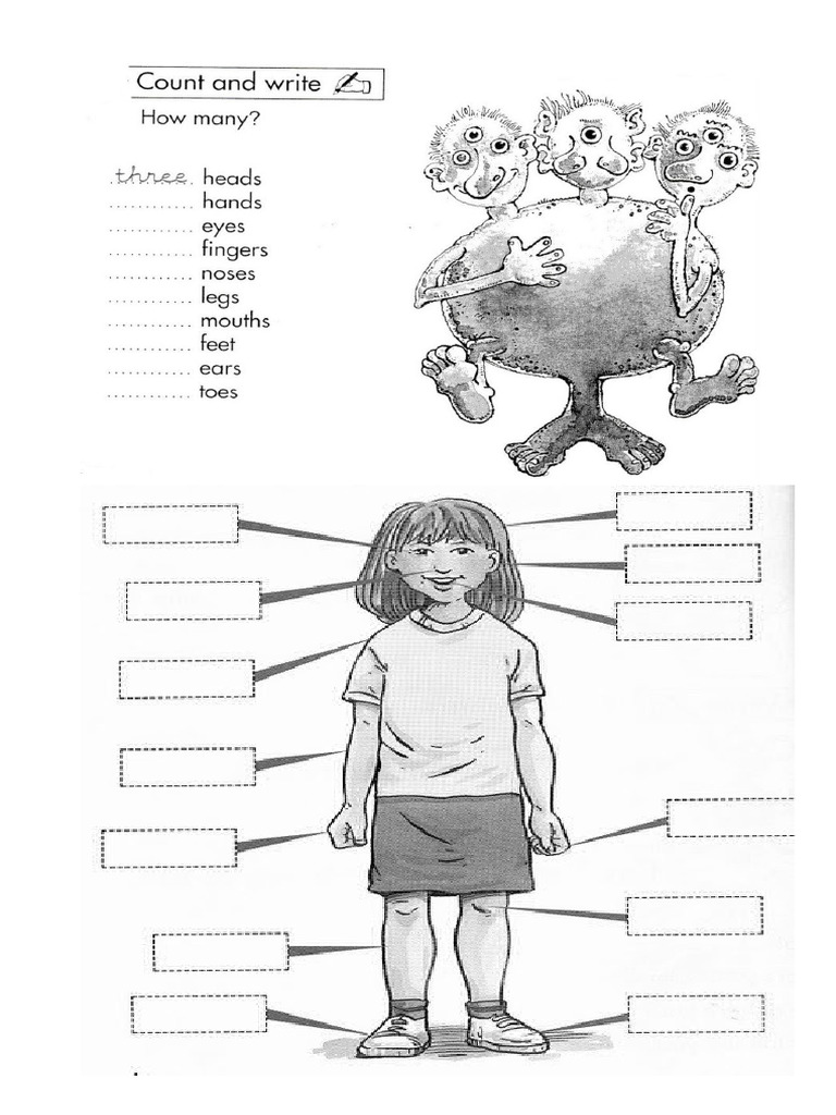 Body Parts Practice Kids | PDF