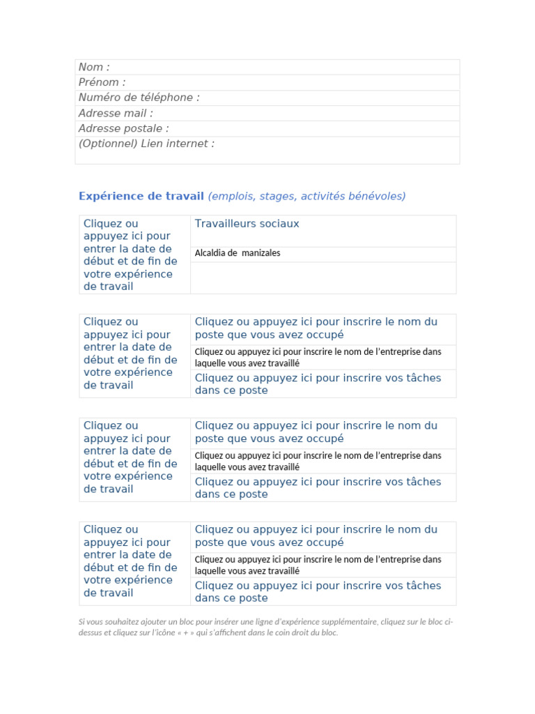 Formulaire de CV pour travailleurs sociaux | PDF