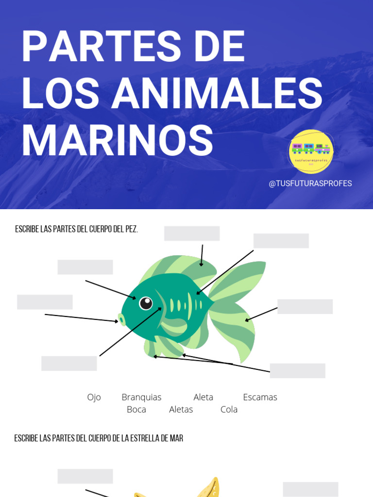 Partes de Los Animales Marinos | PDF