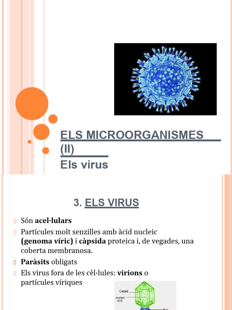 Microorganismes II. Virus | PDF