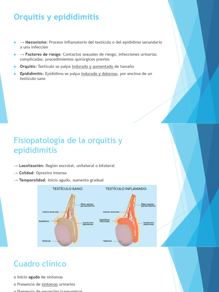 Orquiepidimitis | PDF
