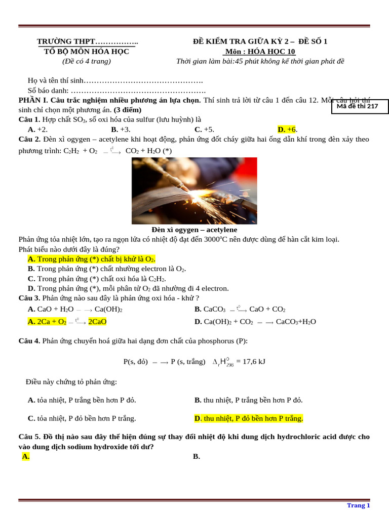 2 ĐỀ - ÔN TẬP GKÌ II - H10 | PDF