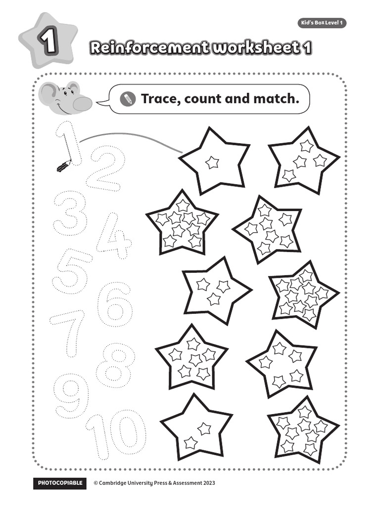 Reinforcement Worksheet 1 | PDF