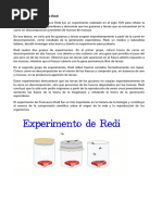 Comprobando el Experimento de Redi | PDF | Science | Método científico