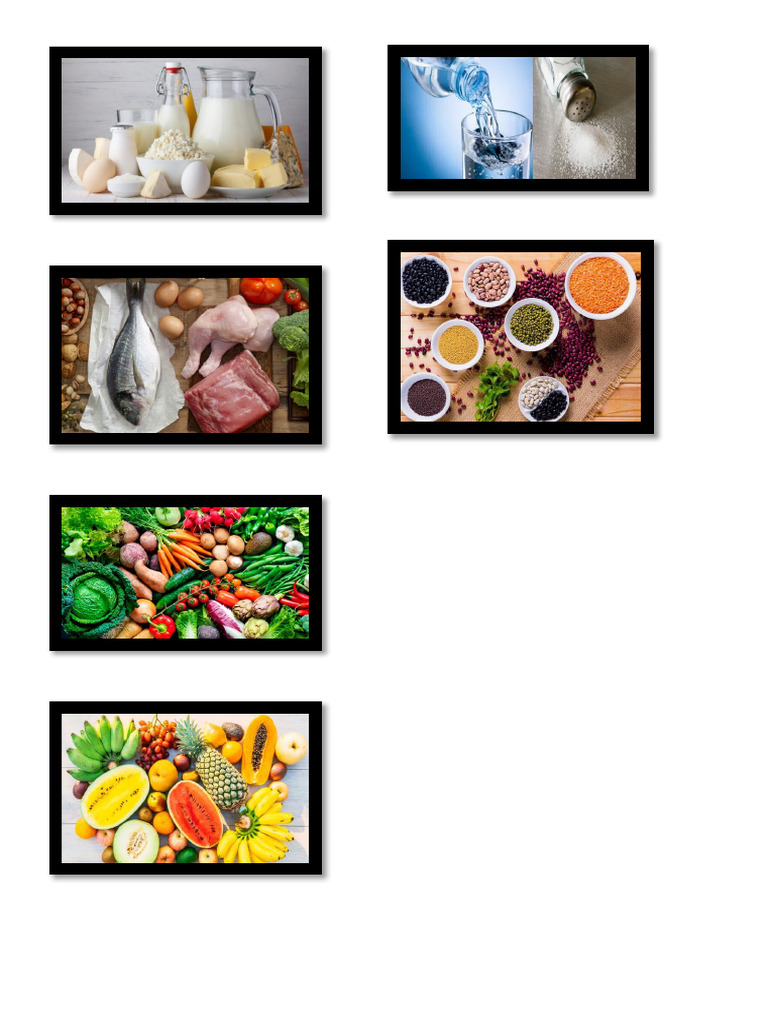 alimentos de origen animal, vegetal y mineral | PDF