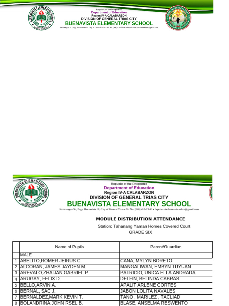 Grade 6 Module Distribution Attendance | PDF