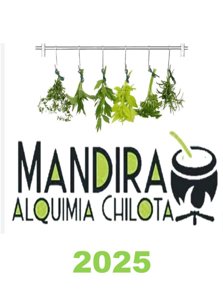 Mandira 2025 | PDF