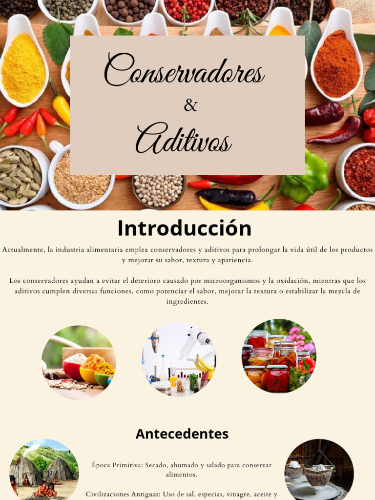Conservadores y Aditivos en Alimentos | PDF | Alimentos | Vitamina