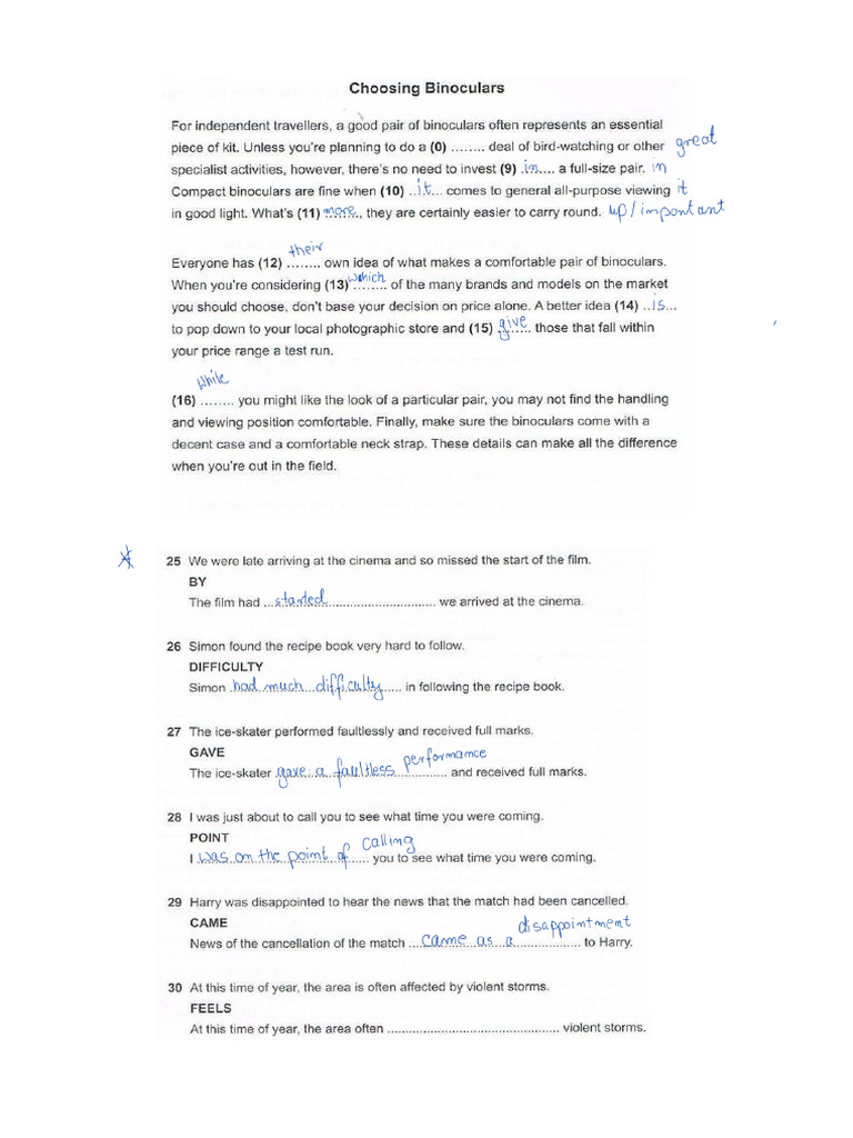 Exercises - Lexical - Grammar 4 | PDF