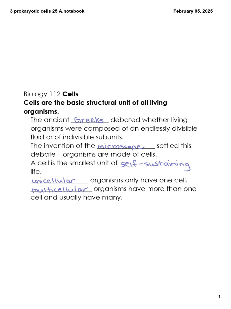 prokaryotic cells A Feb 5 | PDF | Cell (Biology) | Prokaryote