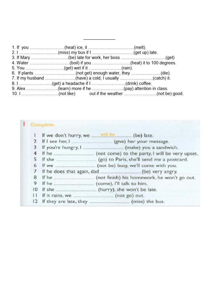 Conditional Sentences Practice Exercises | PDF
