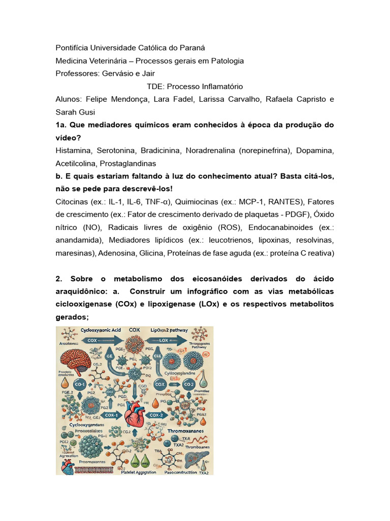 Mediadores e Processos da Inflamação | PDF | Anti-inflamatório não ...