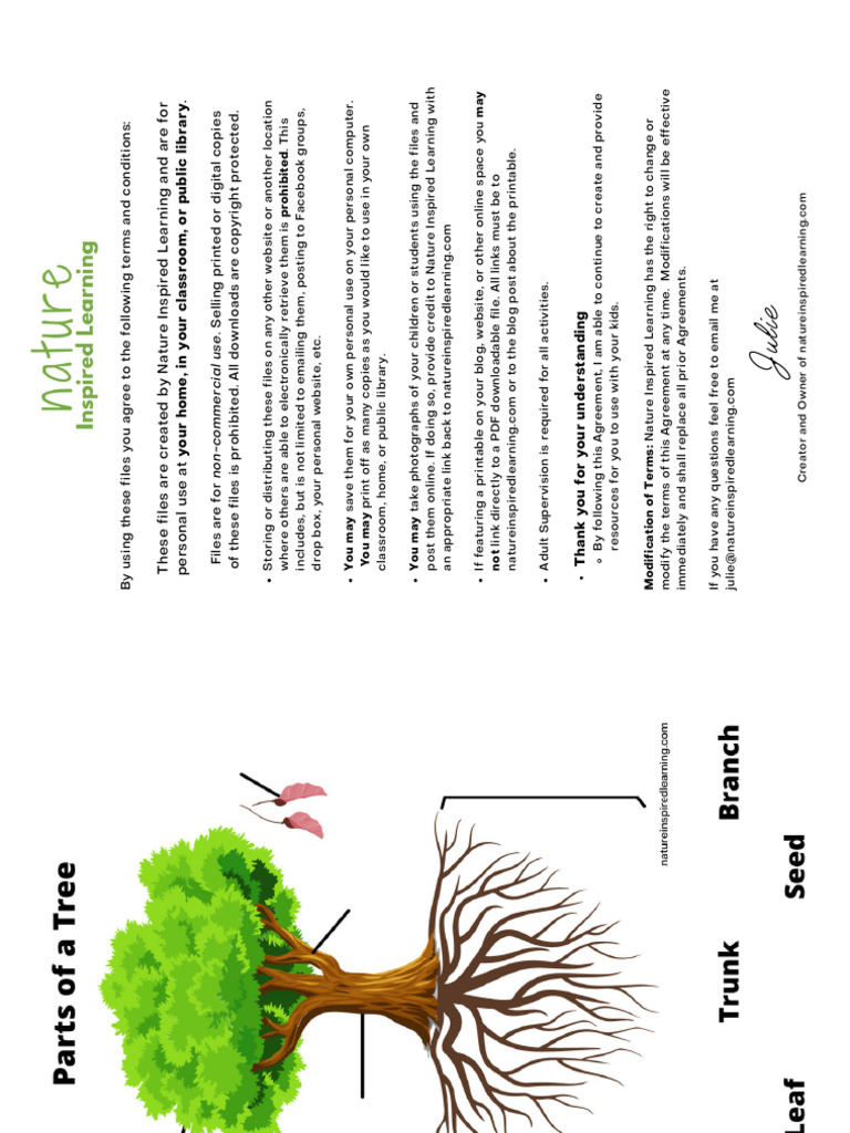 Parts of A Tree Worksheets Nature Inspired Learning | PDF
