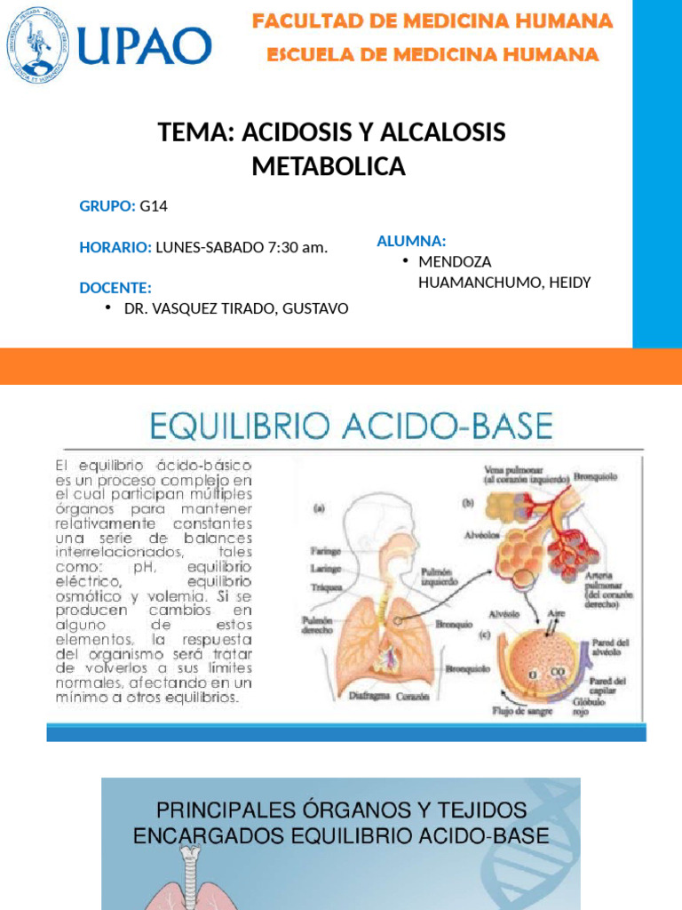 Acidosis y Alcalosis Metabólica: Guía Completa | PDF | Solución tampón ...