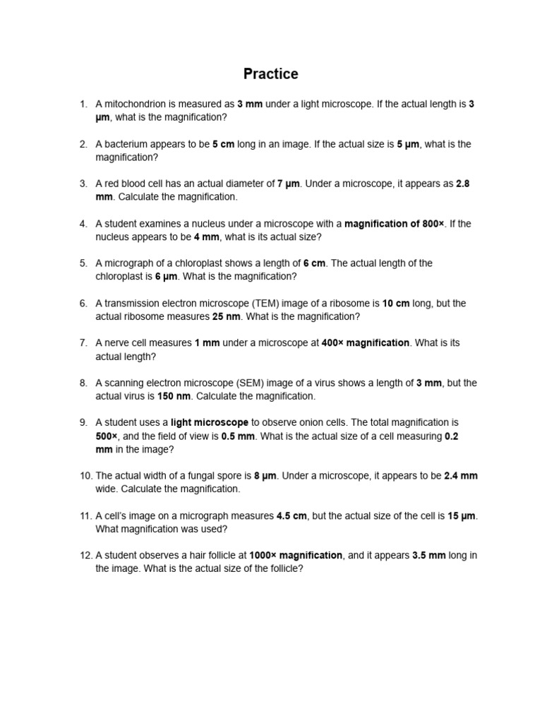 Practice Magnification | PDF