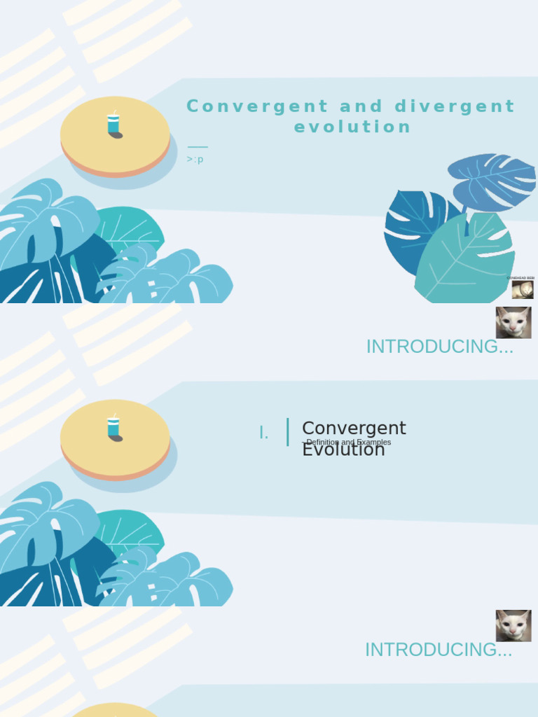 Science PPT Divergent and Convergent Evolution | PDF