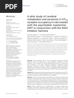 Nitocote NT402 Uae | PDF | Toxicity | Occupational Safety And Health