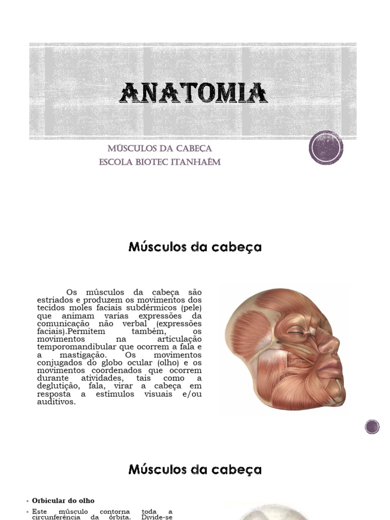 Músculos da Cabeça e Suas Funções | PDF