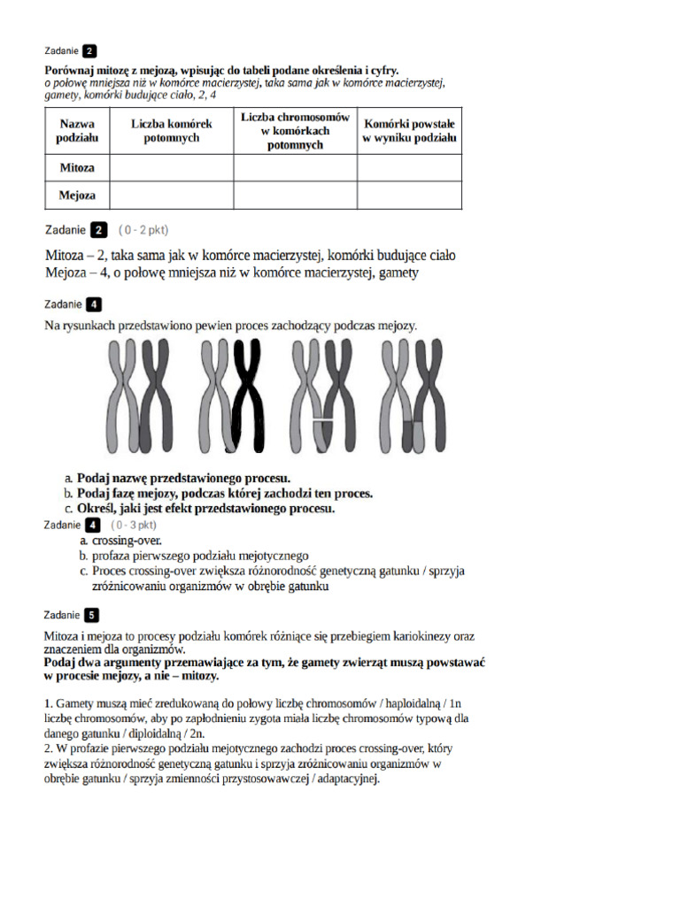 Podział Komórki Mejoza Mitoza-3 | PDF
