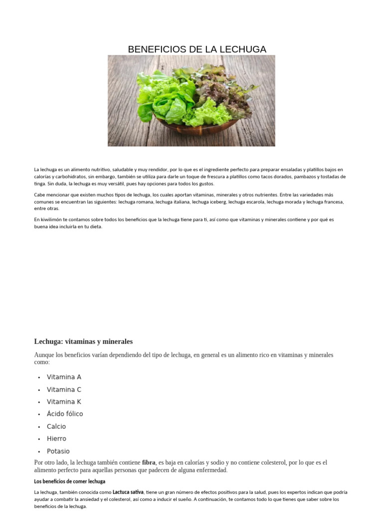 BENEFICIOS DE LA LECHUGA | PDF | Lechuga
