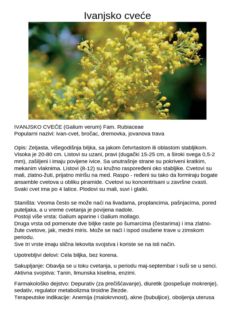 Ivanjsko Cvece | PDF