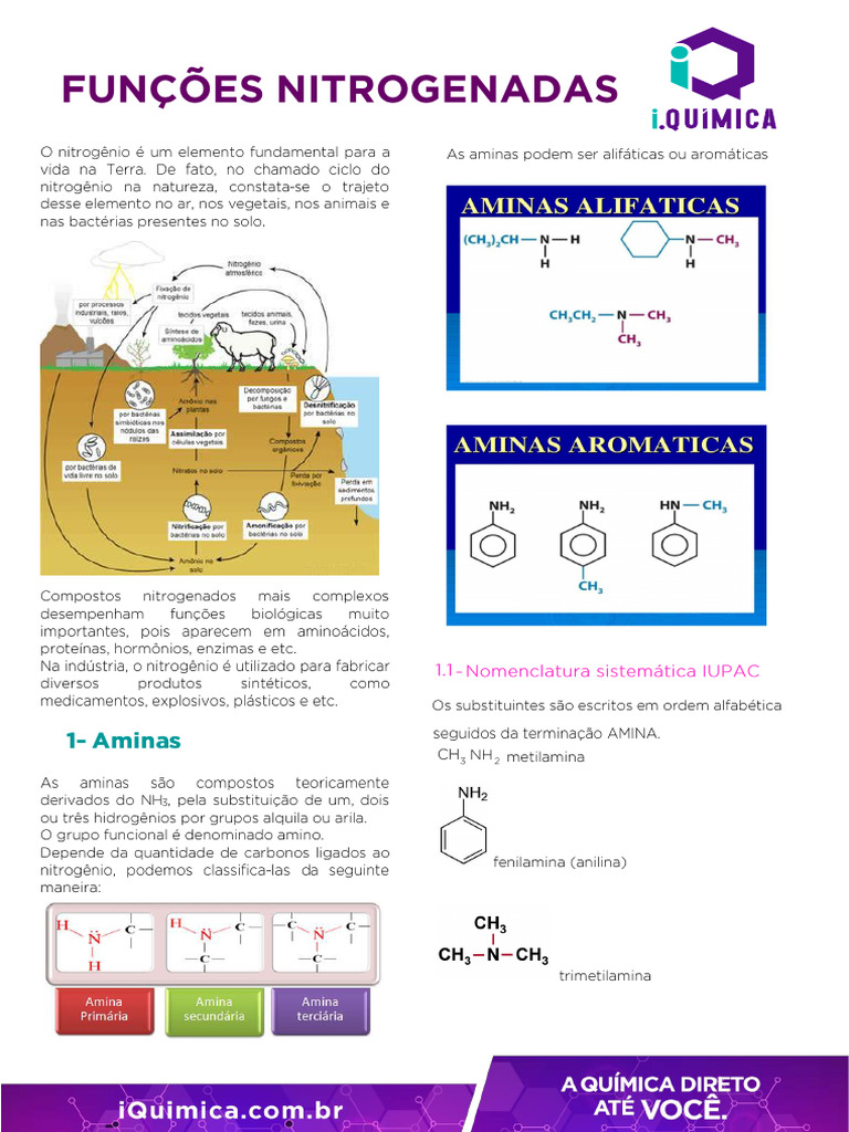 Funções Nitrogenadas Iquimica | PDF